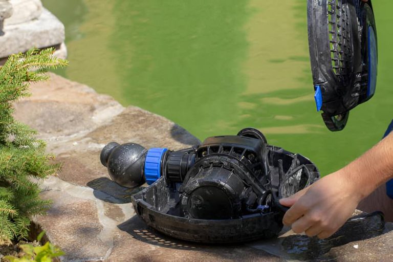 Guide to Choose the Right Pond Filter Size